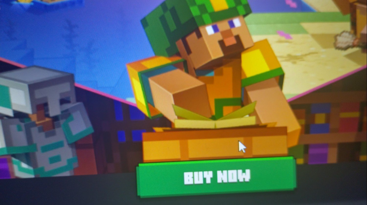 I wanna play Minecraft with my homies,but I... | 4fund.com