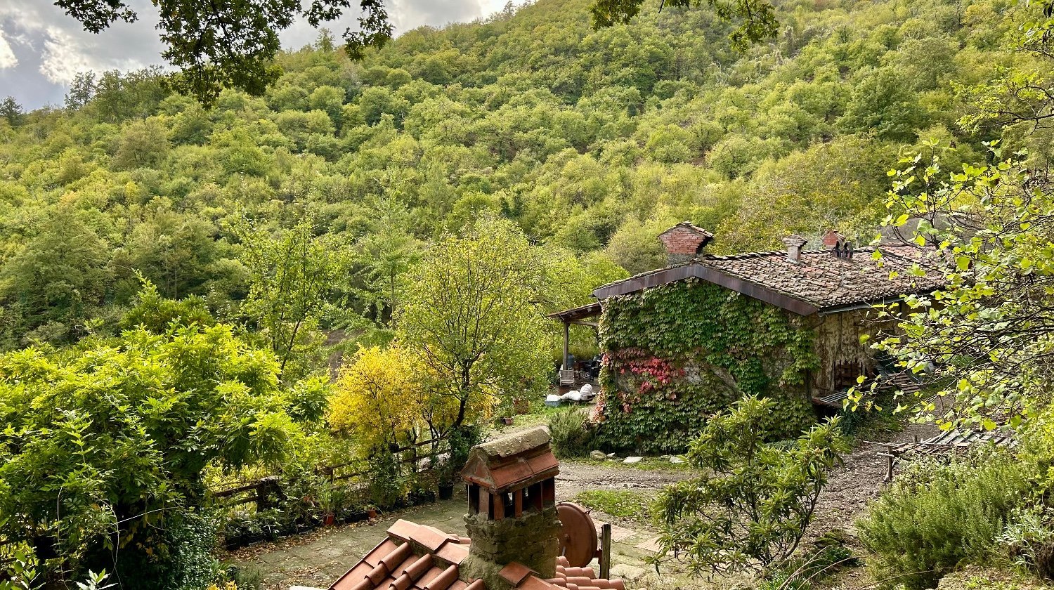 Donation - Restore the Path: Supporting an Organic Oasis in Tos...